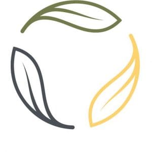 The Effects of Drugs on the Body | Delamere