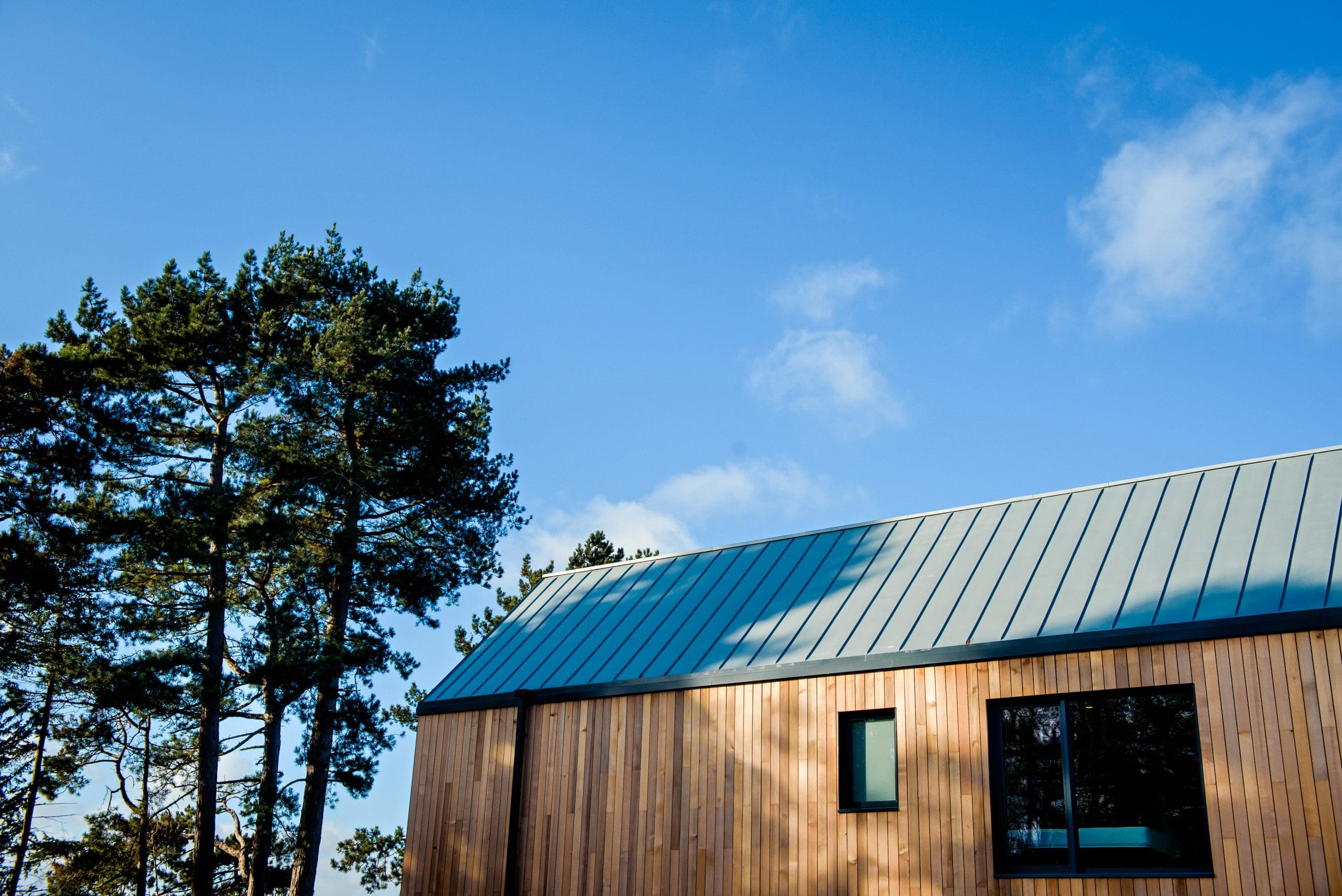 Alcohol Harm Reduction Strategy Advice | Delamere